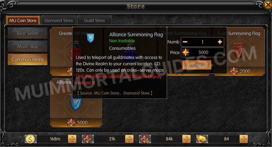 Alliance Summoning Flag — MU Immortal Item
