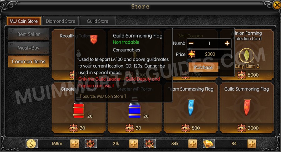 Guild Summoning Flag — MU Immortal Item