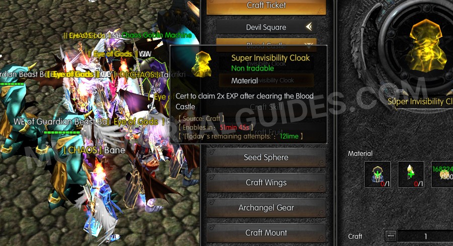 Super Invisibility Cloak — MU Immortal Item